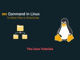 Mv Command In Linux The Linux Tutorials