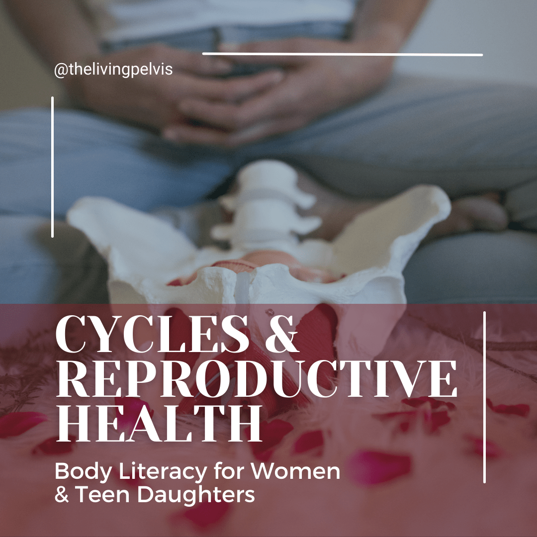 Self-Guided Courses & Workshops – The Living Pelvis