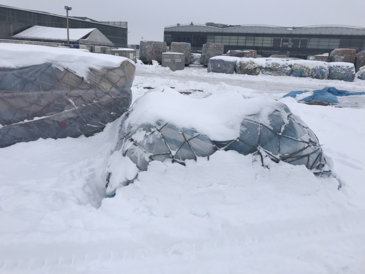 Heavy snow and staff shortages freeze cargo operations at Kiev's ...