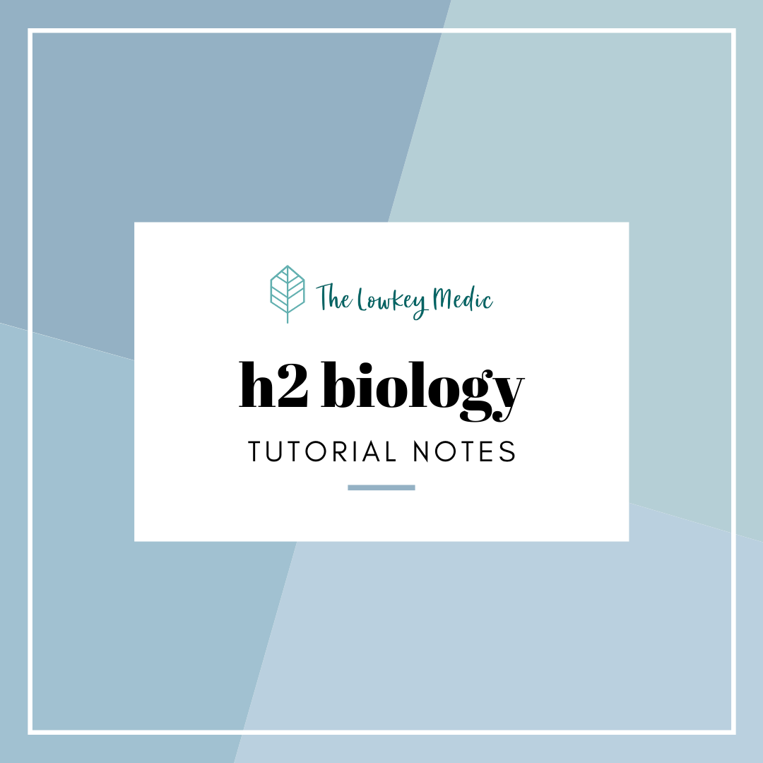 A-Level H2 Biology Tutorial Notes - FREE - The Lowkey Medic
