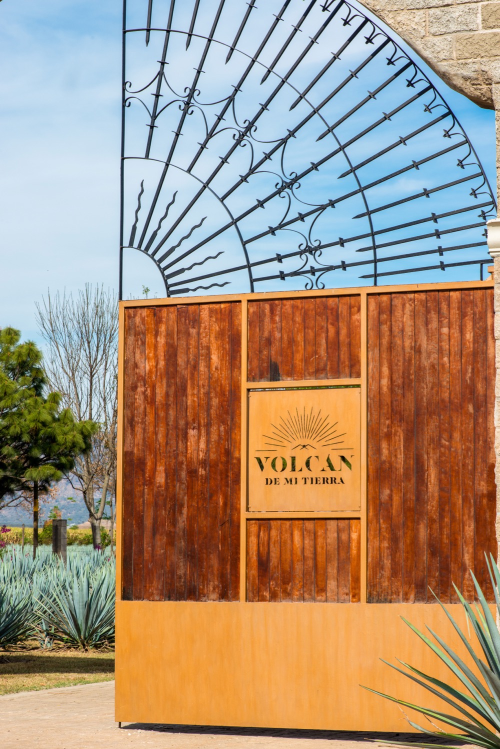 Discover Volcan De Mi Tierra Tequila - The Luxury Editor