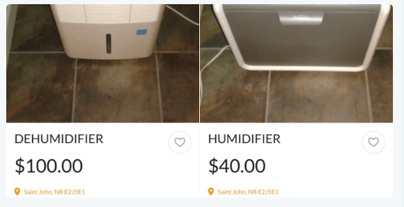 Listicle: Top 10 New Brunswick Kijiji ads – The Manatee