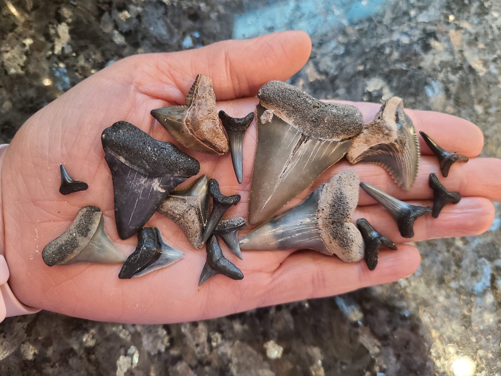 Dredging your mind for treasures - The Meat & Potatoes of Life