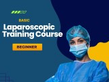 Basic Laparoscopic Training Course For Beginner 2025 The Medicity