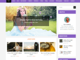 Blog Plus Theme Palace
