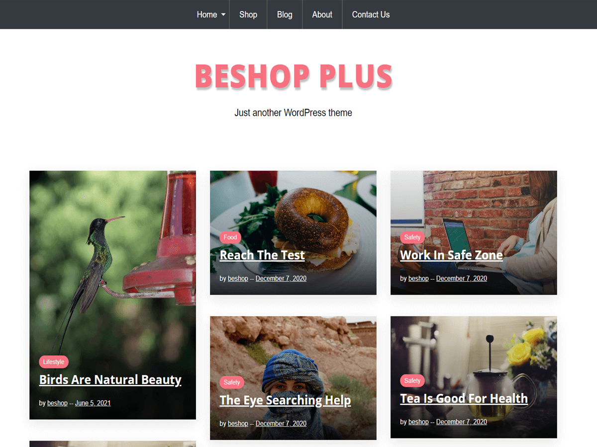 Beshop Plus | WordPress Theme | WordPress.org
