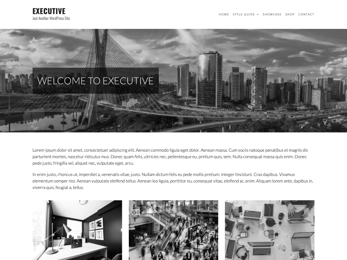 Executive – WordPress theme | WordPress.org