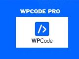 Wpcode Pro Wordpress Code Snippets