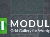 Modula Pro Addons Responsive Photo Gallery Plugin