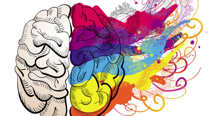 Which Side Of Your Brain Is Most Dominant According To Colors?