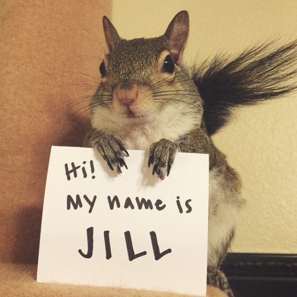 Sweet Squirrel Lives Life to the Fullest After Being Rescued from a ...