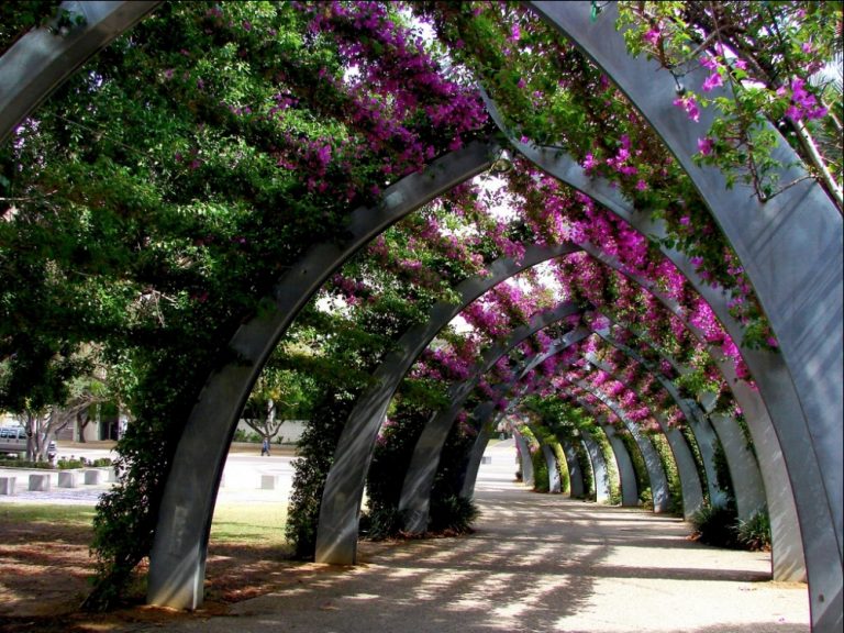 16 of the Most Beautiful Spring Alleys From Around the World