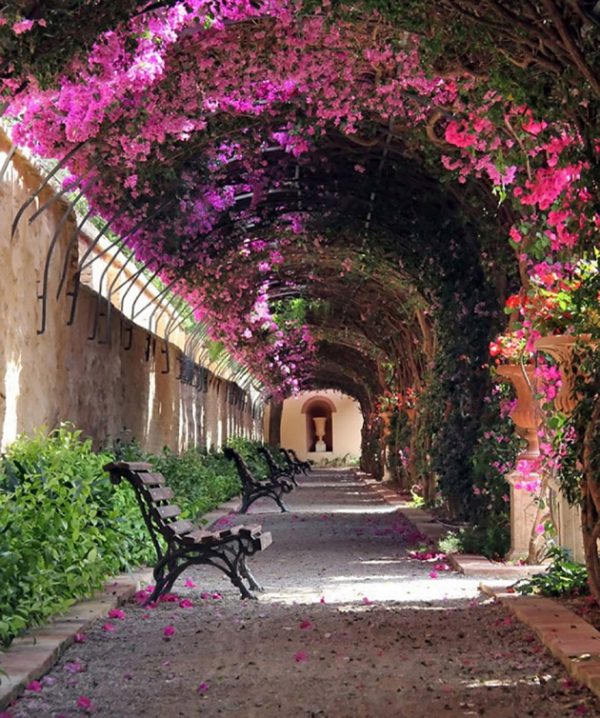 16 of the Most Beautiful Spring Alleys From Around the World