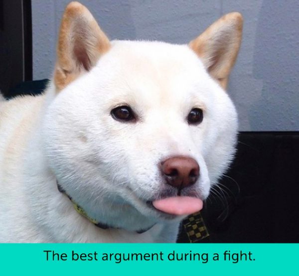 15 Dogs Whose Facial Expressions Are Downright Hilarious