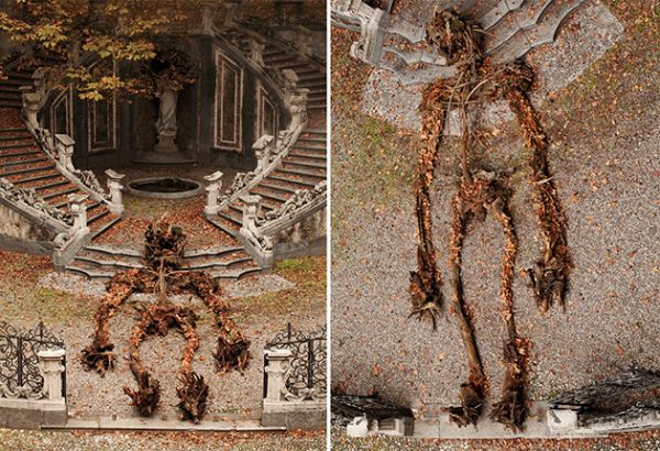 Artist Creates A Skeleton With Tree Roots and Limbs in Italy