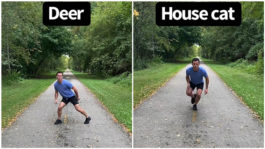 These Runners Encounter A Newborn Baby Deer On The Trail