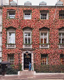Stunning Flower-Covered Façades | themindcircle
