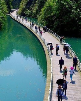 The Floating Bridge in China is One of the Most Beautiful Bridges in ...
