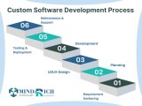 A Comprehensive Guide For Custom Software Development