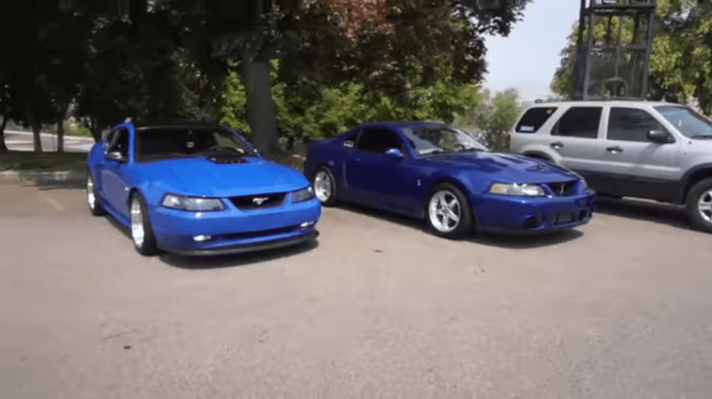 Mach 1 vs. Terminator: New Edge Mustang Showdown - The Mustang Source