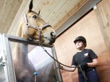 Reaseheath College Equine Centre Nantwich News