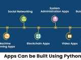 Python Mobile App Development In 2024 Tools Frameworks Cost