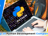 20 Top Python Development Companies 2026