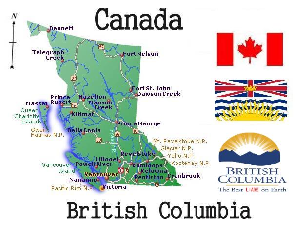 in BC also demand resignations, terminations | The non conformer's ...