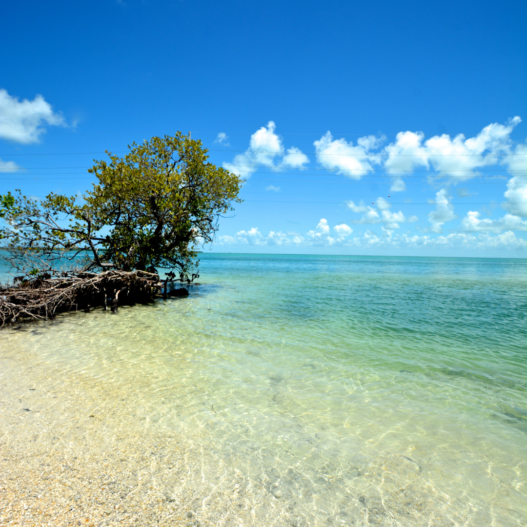 Moral Scrupulosity OCD - The Center for the Obsessive Mind