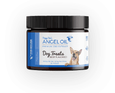Doggy Dan’s Angel Oil CBD – DCC-N - The Online Dog Trainer