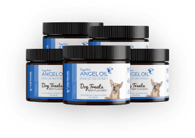 Doggy Dan’s Angel Oil CBD – DCC-N - The Online Dog Trainer