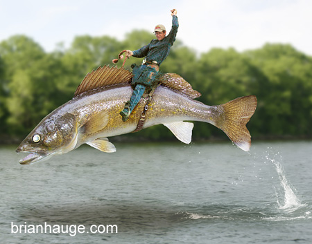 Walleye Jumping