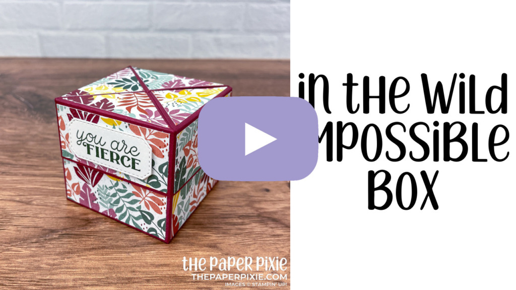 In the Wild Impossible Box - The Paper Pixie - Stampin' Up!