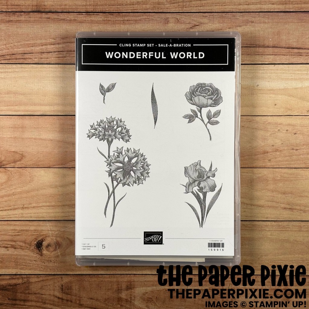Wonderful World Cling Stamp Set - The Paper Pixie