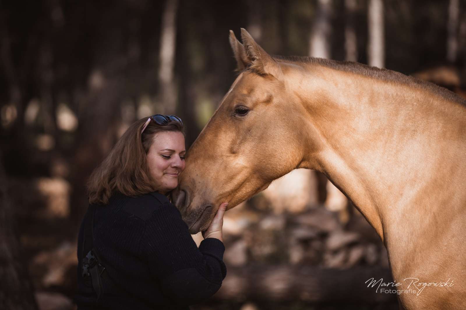 Explorer Tours, Micro Equine Photo Tours — The Pixel Nomad