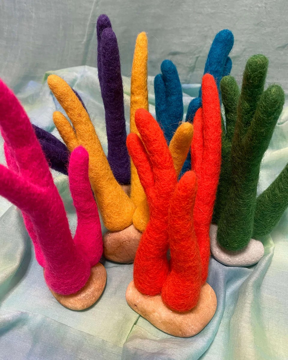 Coral The Pixie Patch