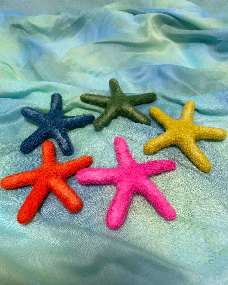 Starfish The Pixie Patch