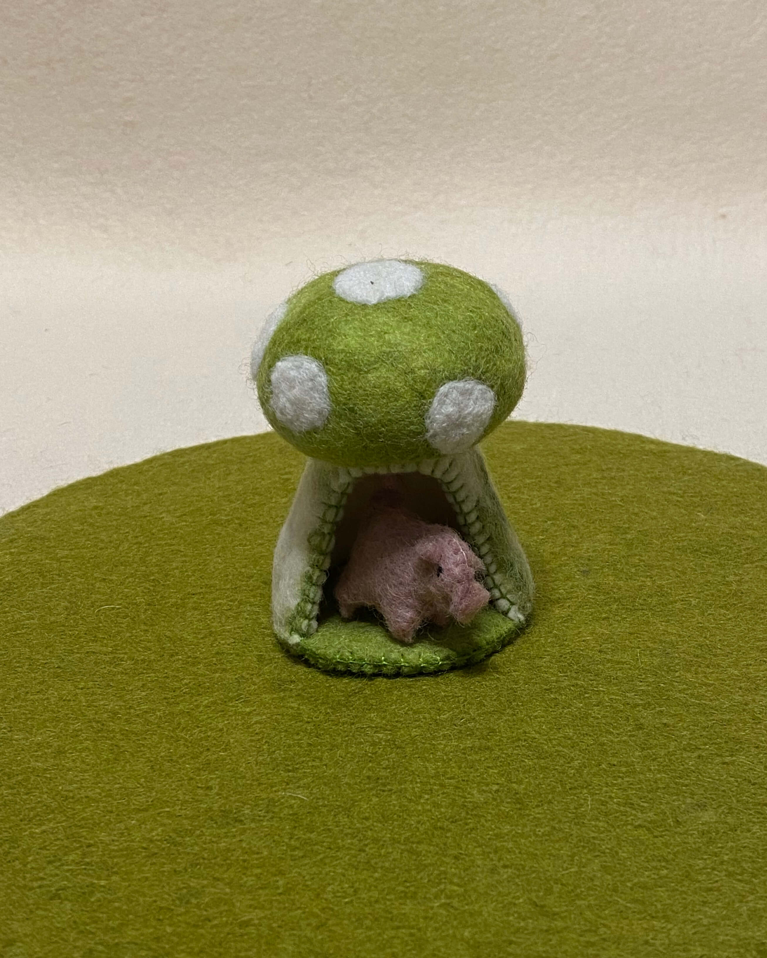 Olive Green Pet Home The Pixie Patch