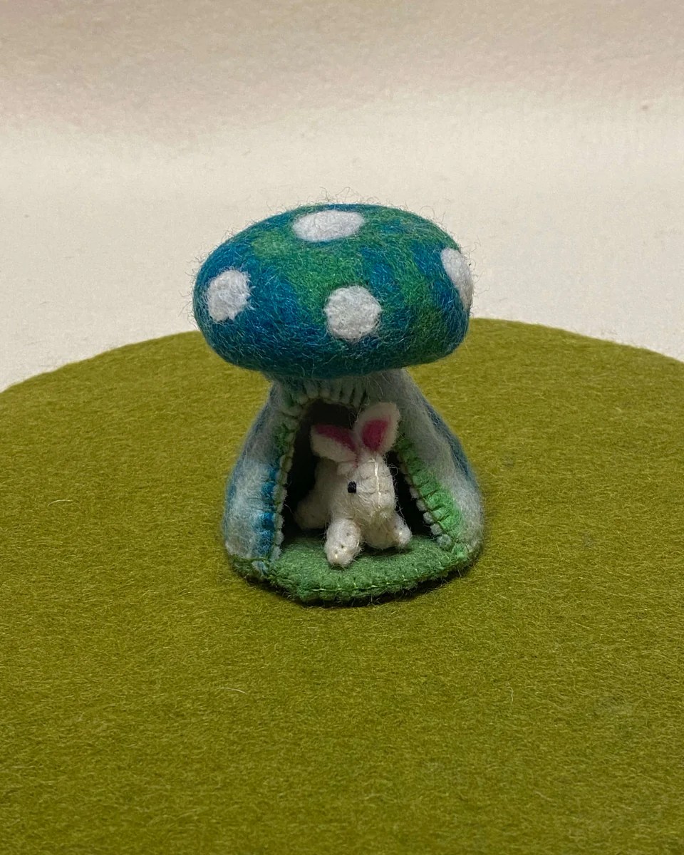 Turquoise Pet Home The Pixie Patch