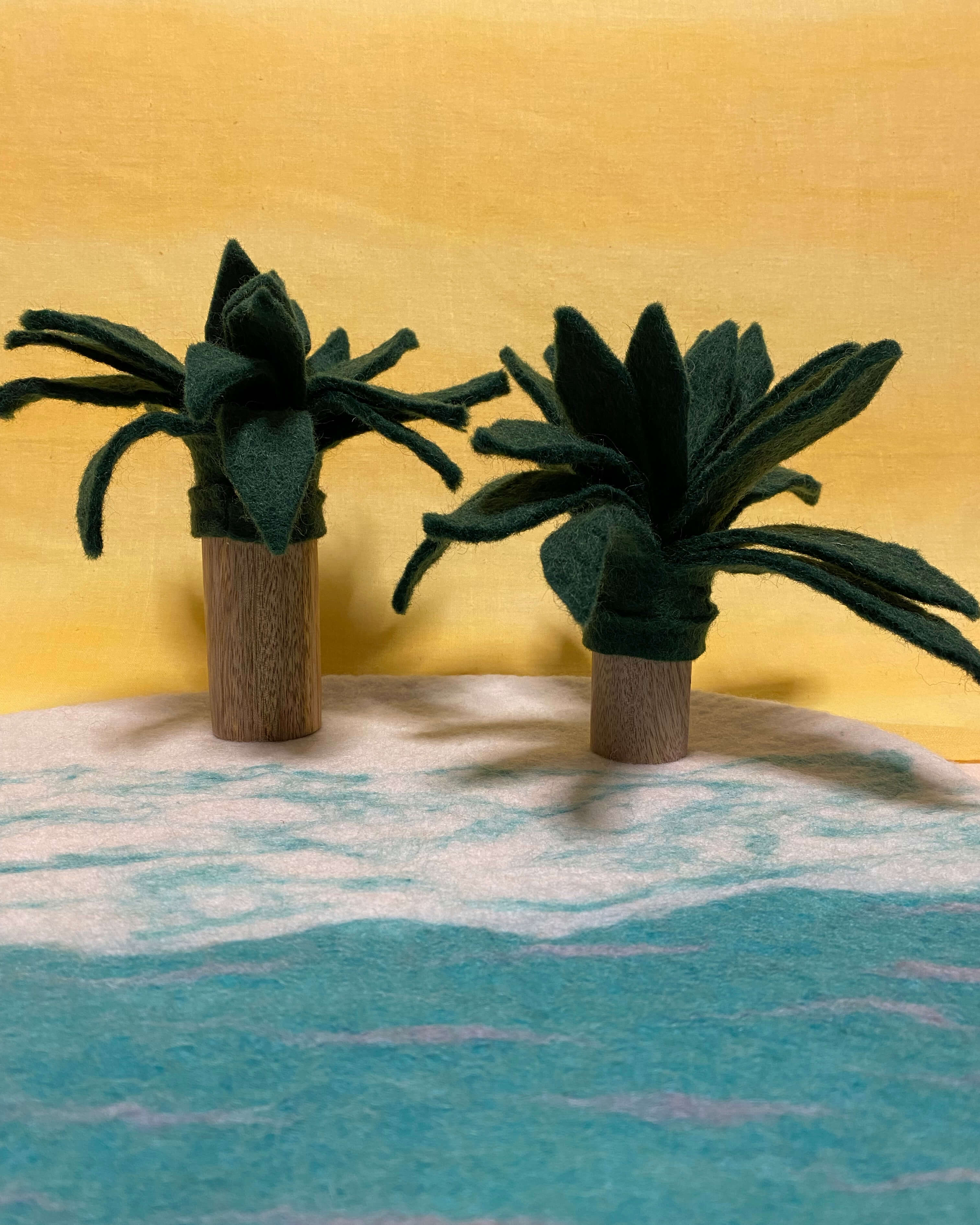 Palm Trees The Pixie Patch