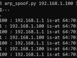 How To Build An Arp Spoofer In Python Using Scapy The Python Code
