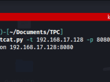 How To Build A Custom Netcat With Python The Python Code