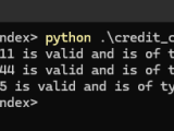 How To Validate Credit Card Numbers In Python The Python Code
