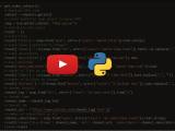 How To Extract Youtube Data Using Youtube Api In Python The Python Code