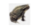 How To Make An Image Classifier In Python Using Tensorflow 2 And Keras