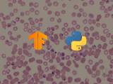 How To Make An Image Classifier In Python Using Tensorflow 2 And Keras