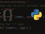 How To Print Variable Name And Value In Python The Python Code