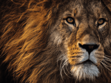 How To Upscale Images Using Stable Diffusion In Python The Python Code