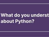 Why Learn Python For Data Science In 2024 The Python Code